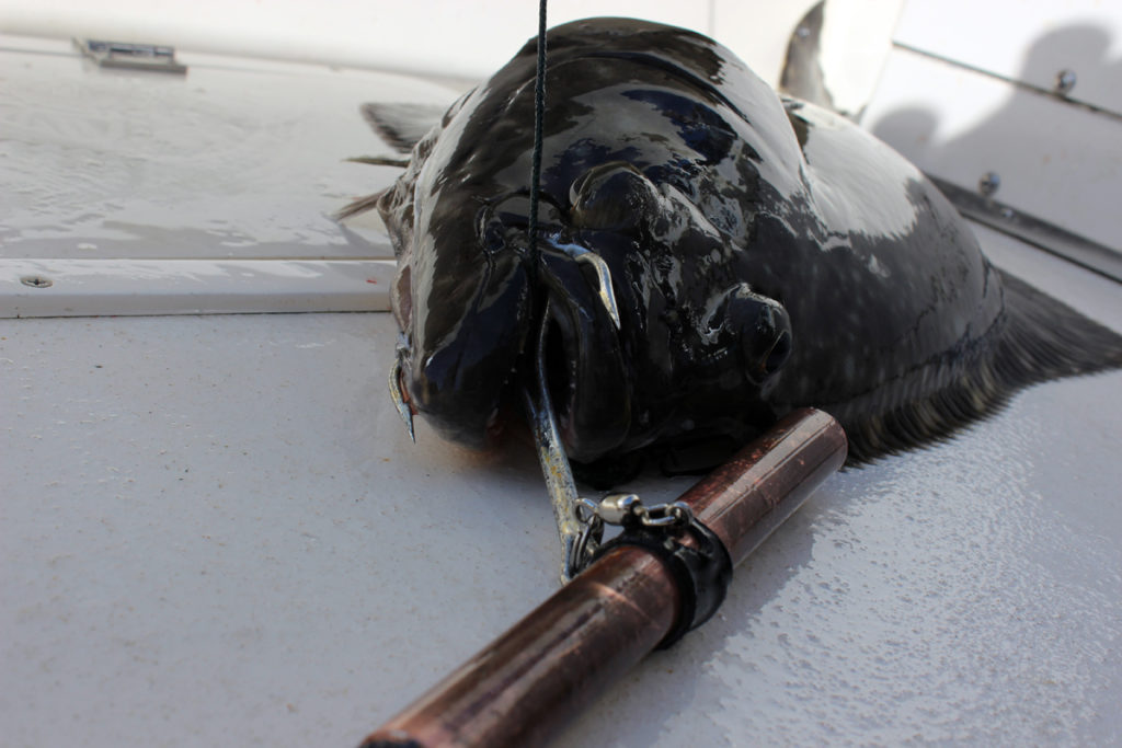 Long Range Westport Halibut Fishing