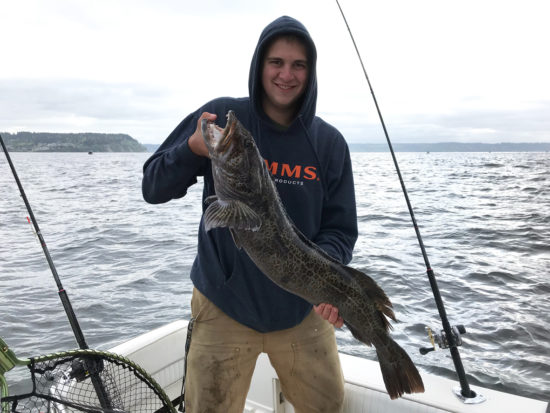 Puget Sound Lingcod Opener Success!