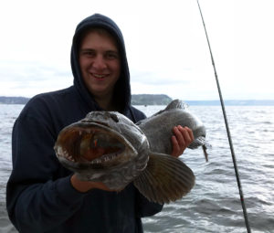 Puget Sound Lingcod Opener Success!