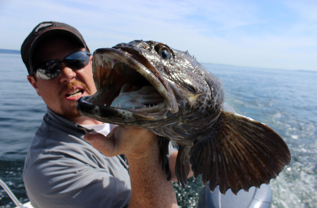 Puget Sound Lingcod May 1 Trip
