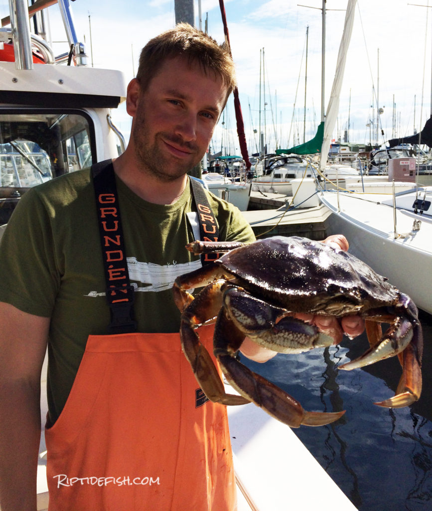 How to Cook Live Dungeness Crab Like A Professional Chef - Riptidefish
