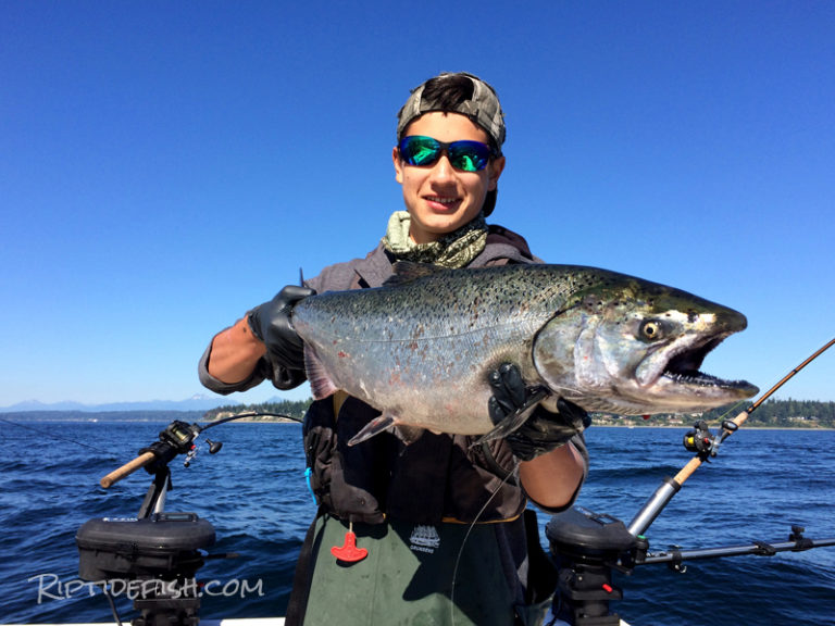 Jeff Head and Presidents Point Chinook Salmon Fishing