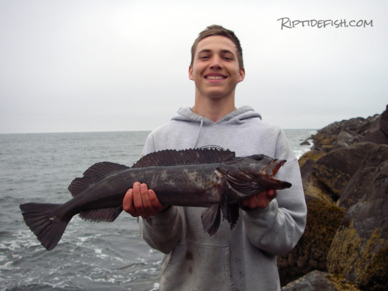 Lingcod Jetty Fishing in Washington