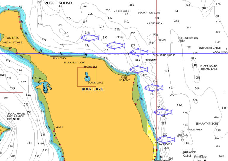 Point No Point Chinook Salmon Fishing
