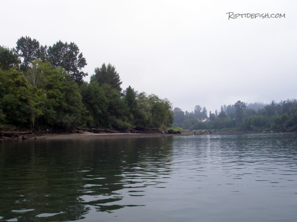 Snohomish River Salmon Fishing