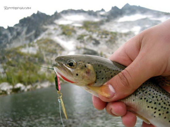 Hiking For Mountain Trout in the Pacific Nortwest