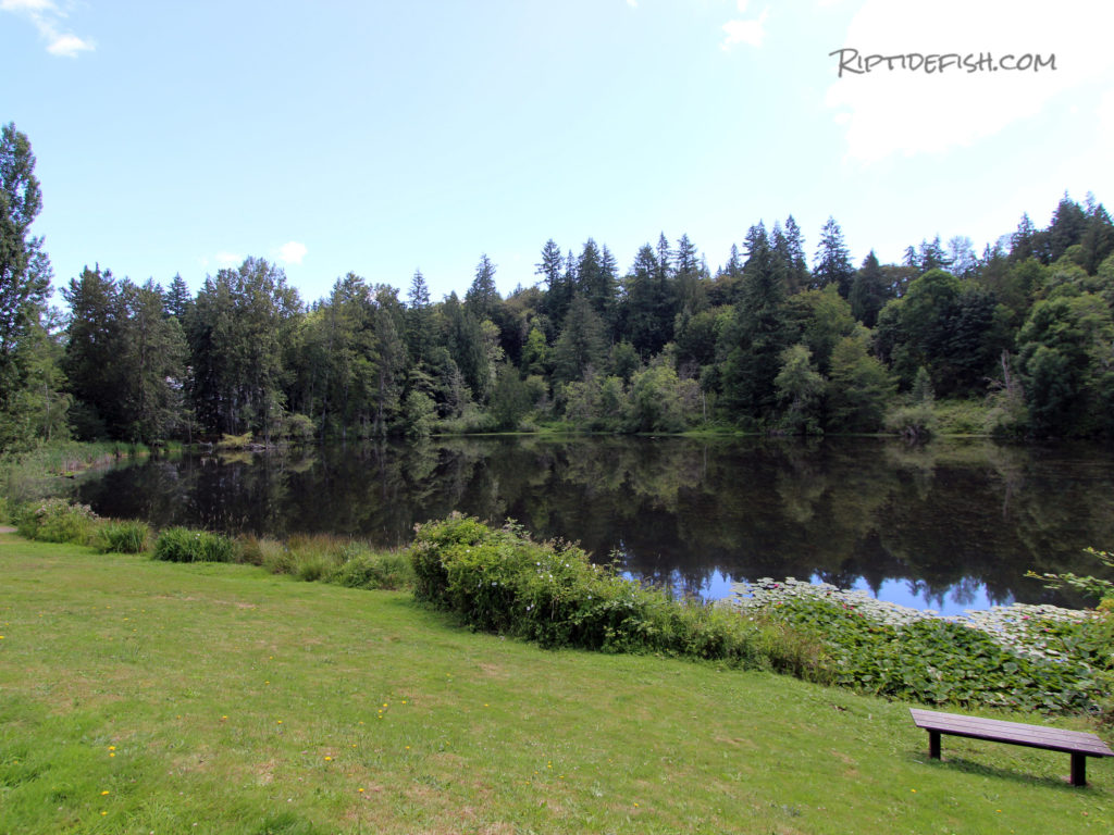 14 Awesome Fishing Lakes in the Snoqualmie Valley
