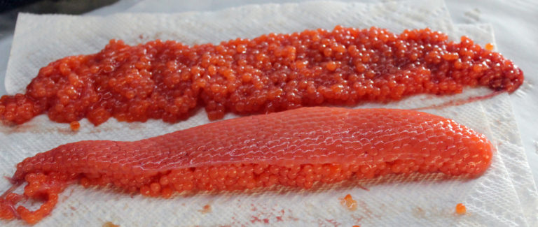 How to Cure Salmon Eggs
