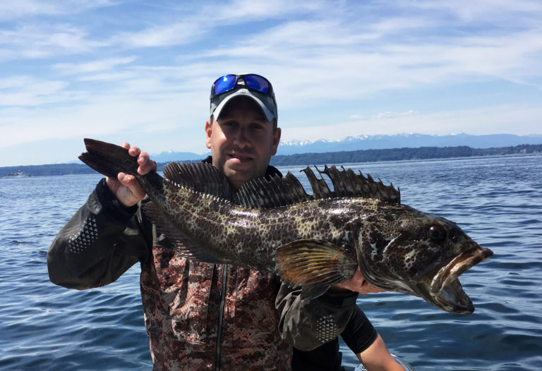 Puget Sound Spot Shrimping and Lingcod Report