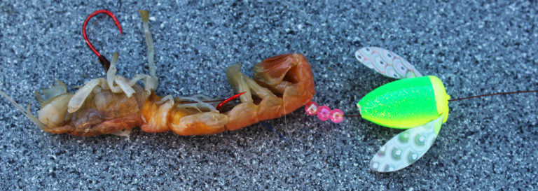 My All Time Favorite Chum Salmon Lures for River Fishing