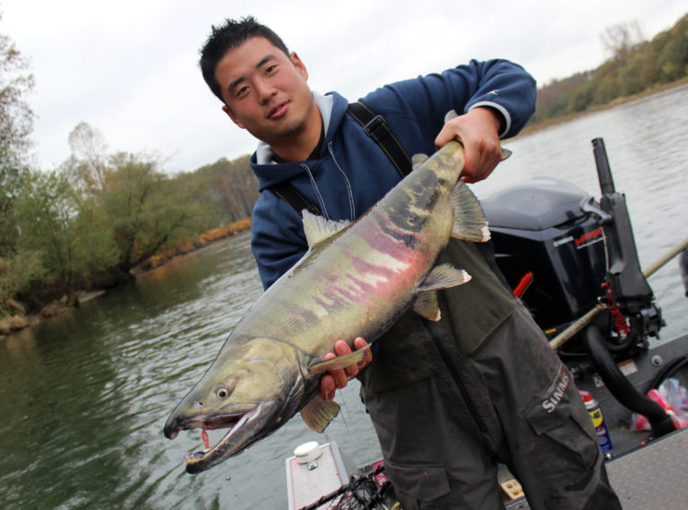 My All Time Favorite Chum Salmon Lures for River Fishing