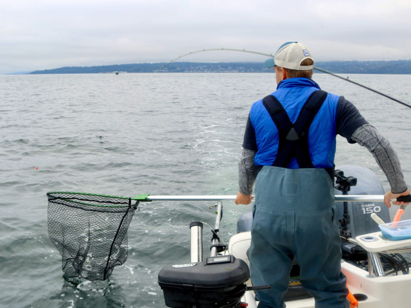Lights Out Coho Salmon Fishing at Jeff Head