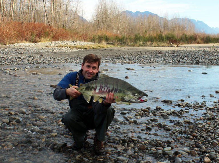 My All Time Favorite Chum Salmon Lures for River Fishing