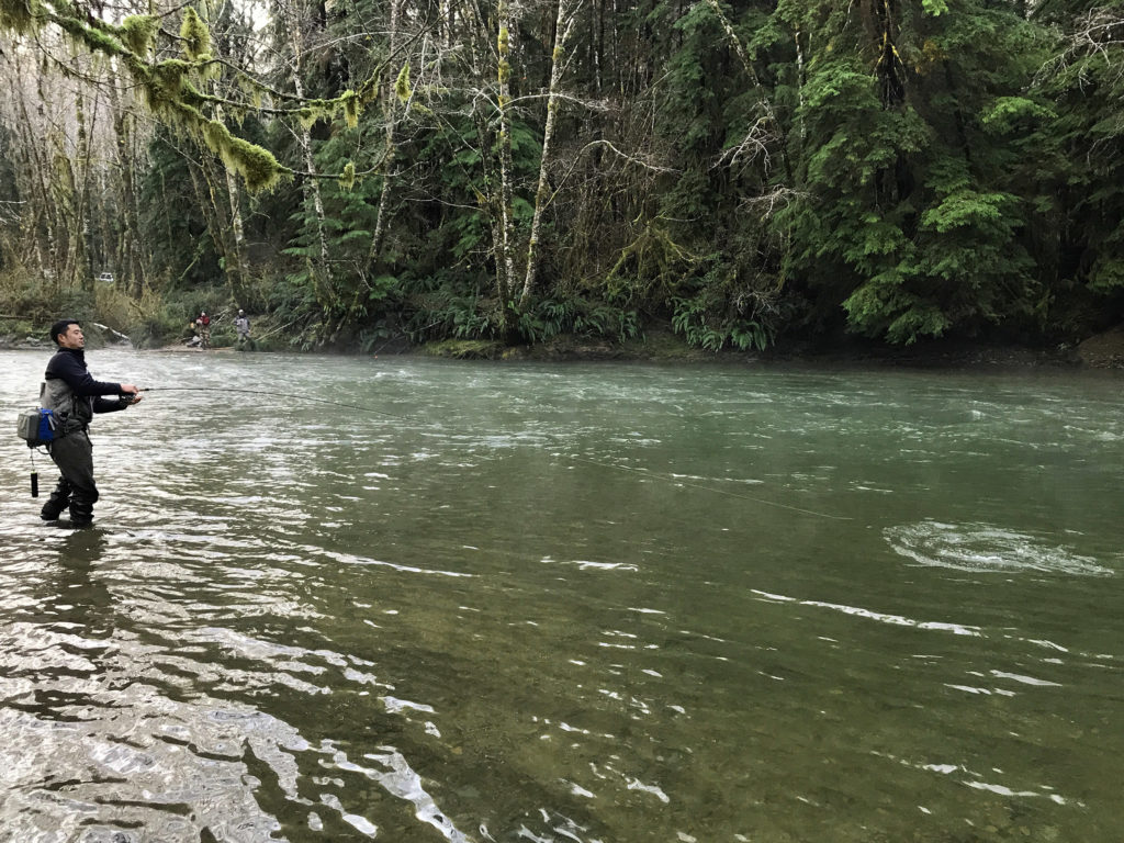 Fishing Blog and Reports for Seattle, Washington - Riptidefish