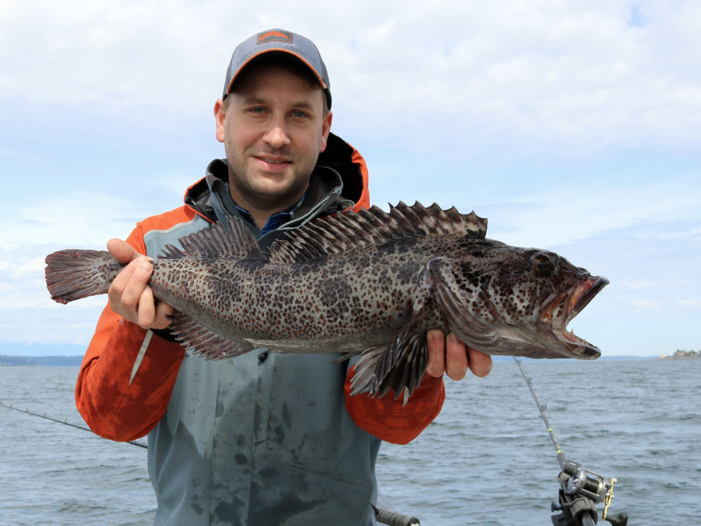 Lingcod and Rockfish Archives - Riptidefish