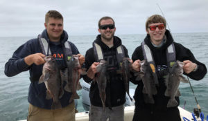 My All Time Favorite Lures for Catching Rockfish - Riptidefish