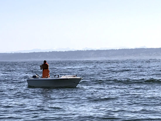 The Ultimate Puget Sound Salmon Mooching Guide