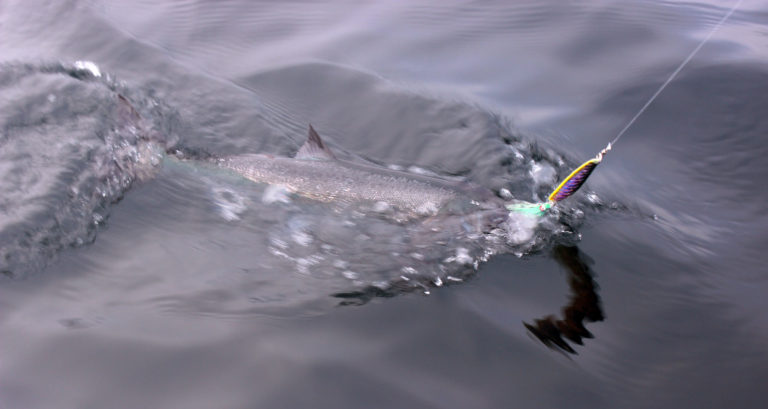 Neah Bay Fishing Weekend – July 25-26