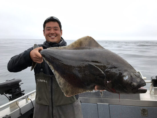 Pacific Halibut – The Ocean Giant