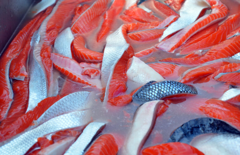 Smoking & Preserving Salmon – The Alaskan Way