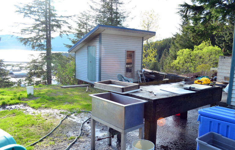Smoking & Preserving Salmon – The Alaskan Way