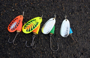 7 Deadly Techniques to Catch Chinook Salmon in Rivers