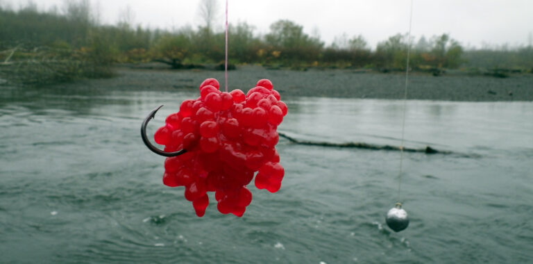 7 Deadly Techniques to Catch Chinook Salmon in Rivers