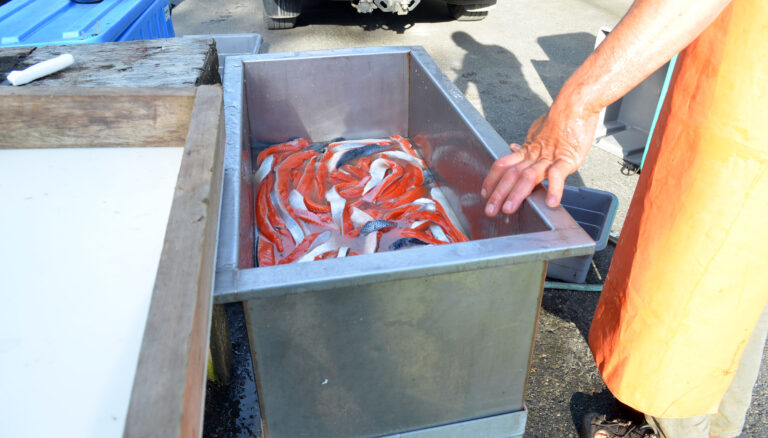 Smoking & Preserving Salmon – The Alaskan Way
