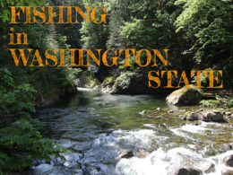 Guide to Fishing in Washington – Visitors, Newcomers and Beginners