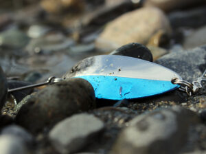 8 Amazing Techniques to Catch Winter Steelhead - Riptidefish