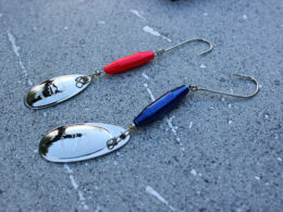 The Best 15 Lures for Winter Steelhead Fishing