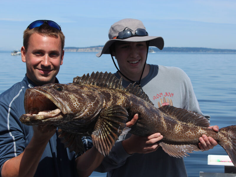 About Riptidefish - Riptidefish