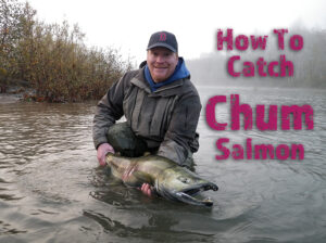 5 Proven Methods for Chum Salmon Fishing in Rivers