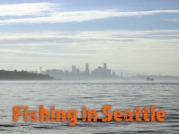 Your Guide to Fishing in Seattle – The City and Beyond.