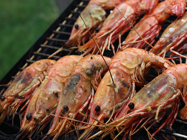 grilled spot shrimp