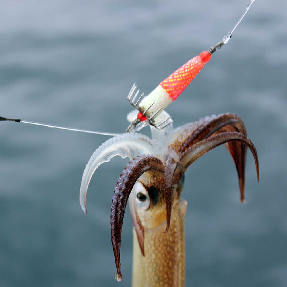 Online Tackle Store - Riptidefish