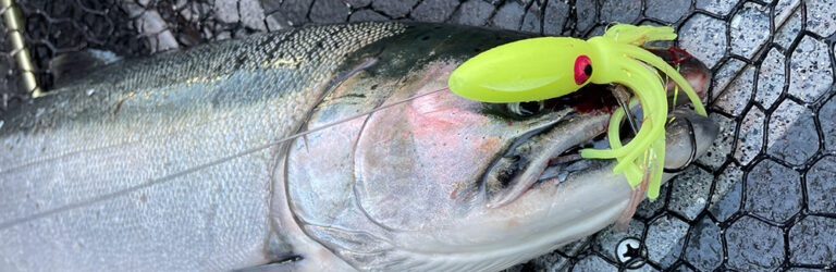 12 Great Lures for Chinook Salmon Fishing in Puget Sound