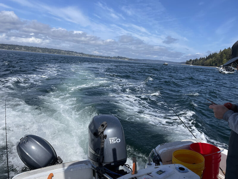 Opening Day Report – Puget Sound Lingcod 2022