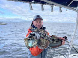 Lingcod Fishing in Puget Sound, Washington