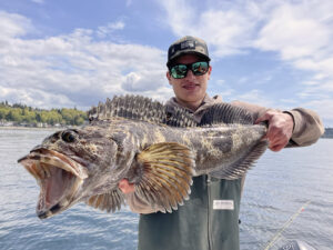 Lingcod Fishing in Puget Sound, Washington