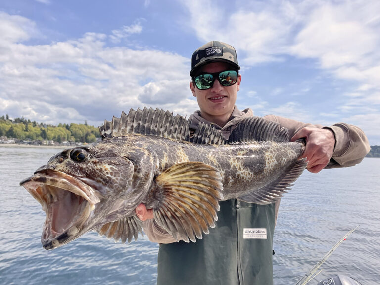 Lingcod Fishing in Puget Sound, Washington