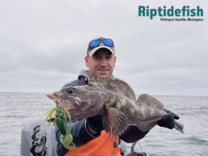 How to Catch Lingcod