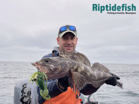 How to Catch Lingcod