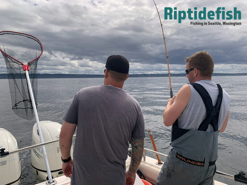 Seattle Salmon and Crab with Messing Around Charters