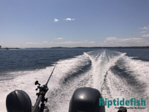 Puget Sound Lingcod Fishing May 5, 2020