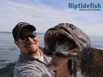 Puget Sound Lingcod Fishing