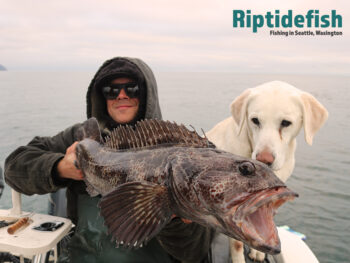 How to Catch Lingcod