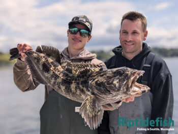 Puget Sound Lingcod Fishing