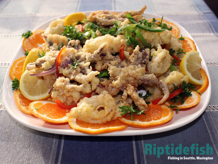 Squidding in Puget Sound, Washington