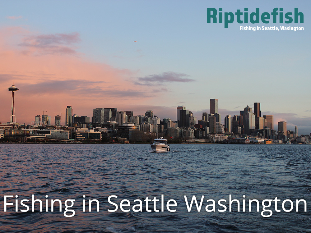 Riptidefish – Seattle Washington Fishing Blog
